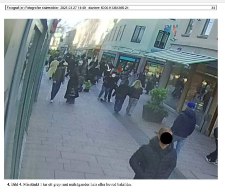 AFA Göteborg: NMR-aktivister ströp och sparkade kvinna i Göteborg ...